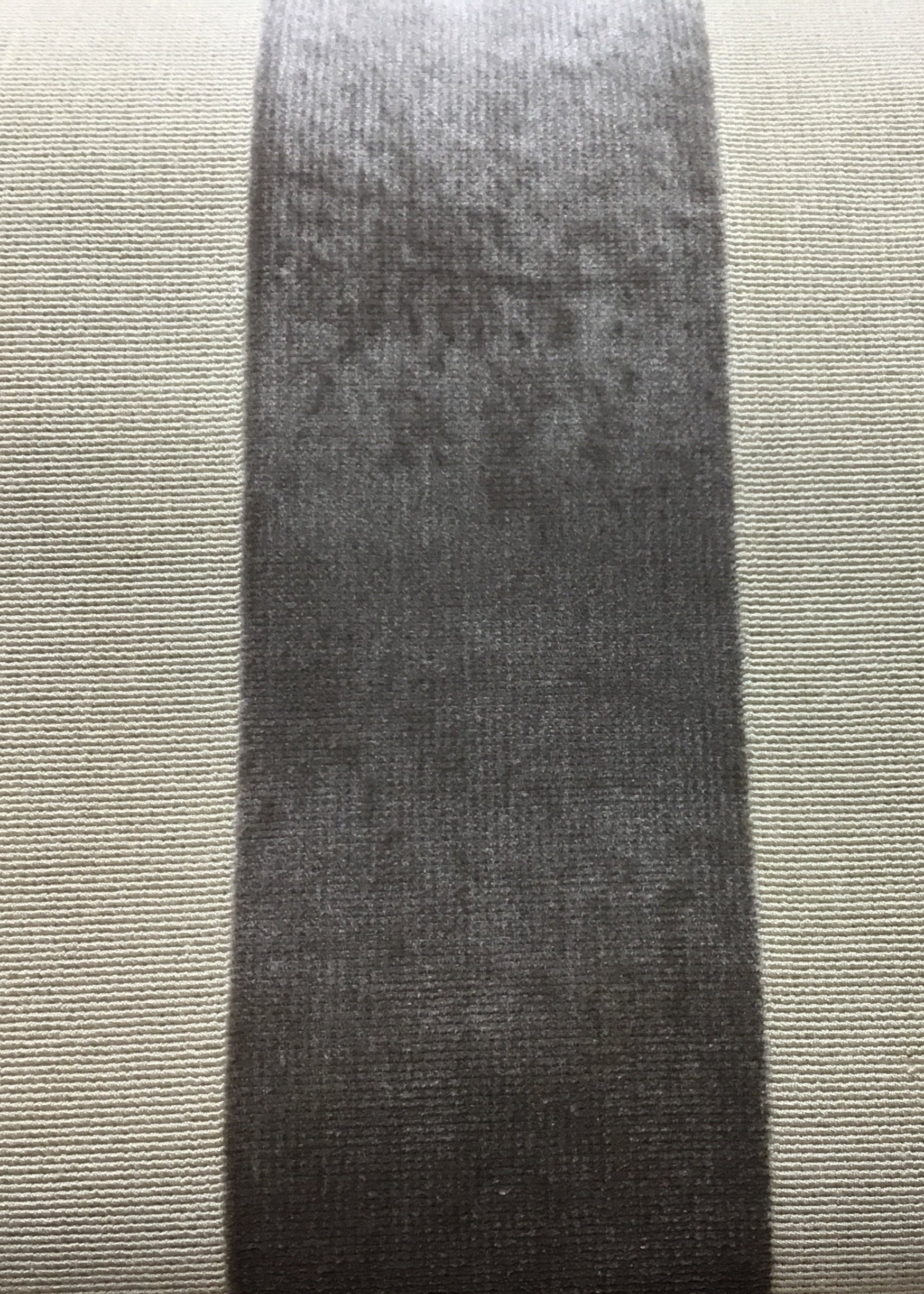 16184 Champagne Velvet Stripe – Fabric Factory